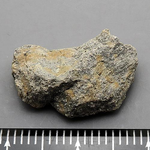 レクトライト Rectorite 珍しい混合層粘土鉱物 国産鉱物 秋田県花岡鉱山 瑞浪鉱物展示館 5816 : 瑞浪鉱物展示館ヤフー店 ...