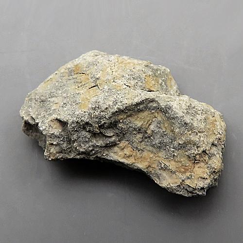 レクトライト Rectorite 珍しい混合層粘土鉱物 国産鉱物 秋田県花岡鉱山 瑞浪鉱物展示館 5816 : 瑞浪鉱物展示館ヤフー店 ...