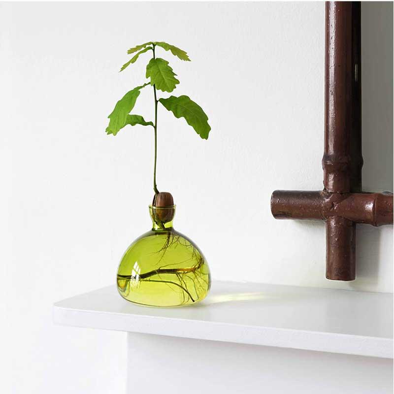 ILEX STUDIO ACORN VASE アコーン ベース 種から育てる どんぐり mmis 新生活 インテリア : 10027806 : mmis MMインテリアスペース青山 - 通販 ...