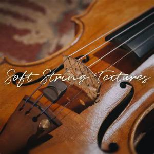 SPITFIRE AUDIO/SOFT STRING TEXTURES【オンライン納品】【在庫あり】 : ka-r-010625-kf03 : 宮地楽器Yahoo!店 - 通販 - Yahoo ...