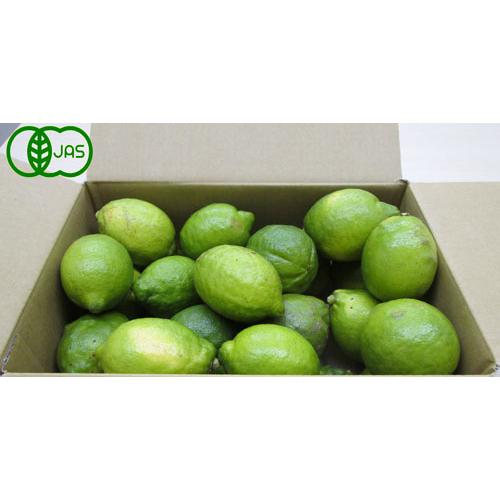 オーガニック 有機レモン3kg・神奈川県小田原産有機栽培（有機JAS）秀品【送料無料】 : 健康ご予約 - 通販 - Yahoo!ショッピング