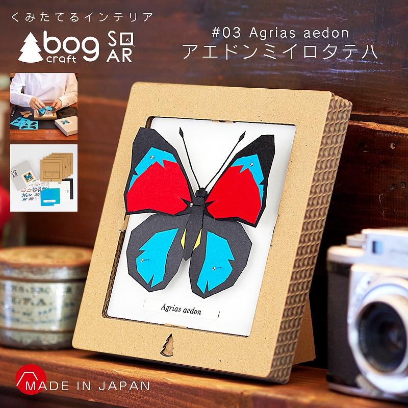 bog craft 組み立てるインテリア 工作 飾り ペーパークラフト SQAR スクウェア 標本 アエドンミイロタテハ : モビマックス ...
