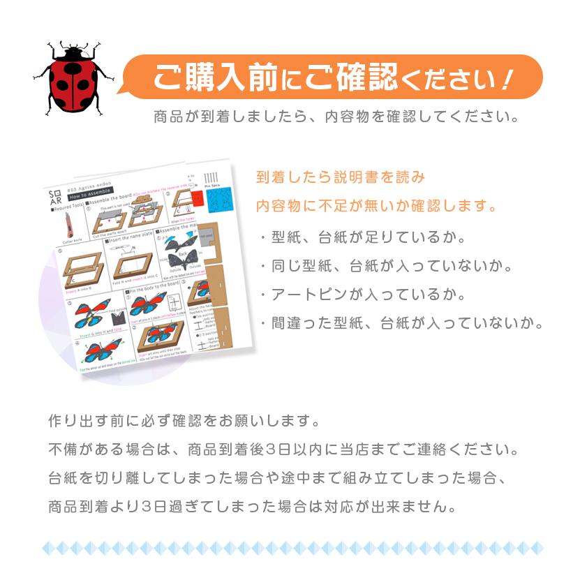 bog craft 組み立てるインテリア 工作 飾り ペーパークラフト SQAR スクウェア 標本 オニヤンマ :bog-sqar-06:モビマックス - 通販 - Yahoo!ショッピング