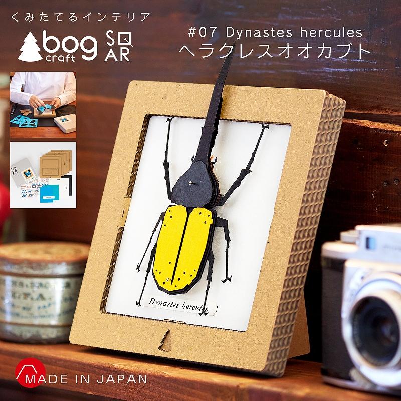 bog craft 組み立てるインテリア 工作 飾り ペーパークラフト SQAR スクウェア 標本 ヘラクレスオオカブト : モビマックス ...