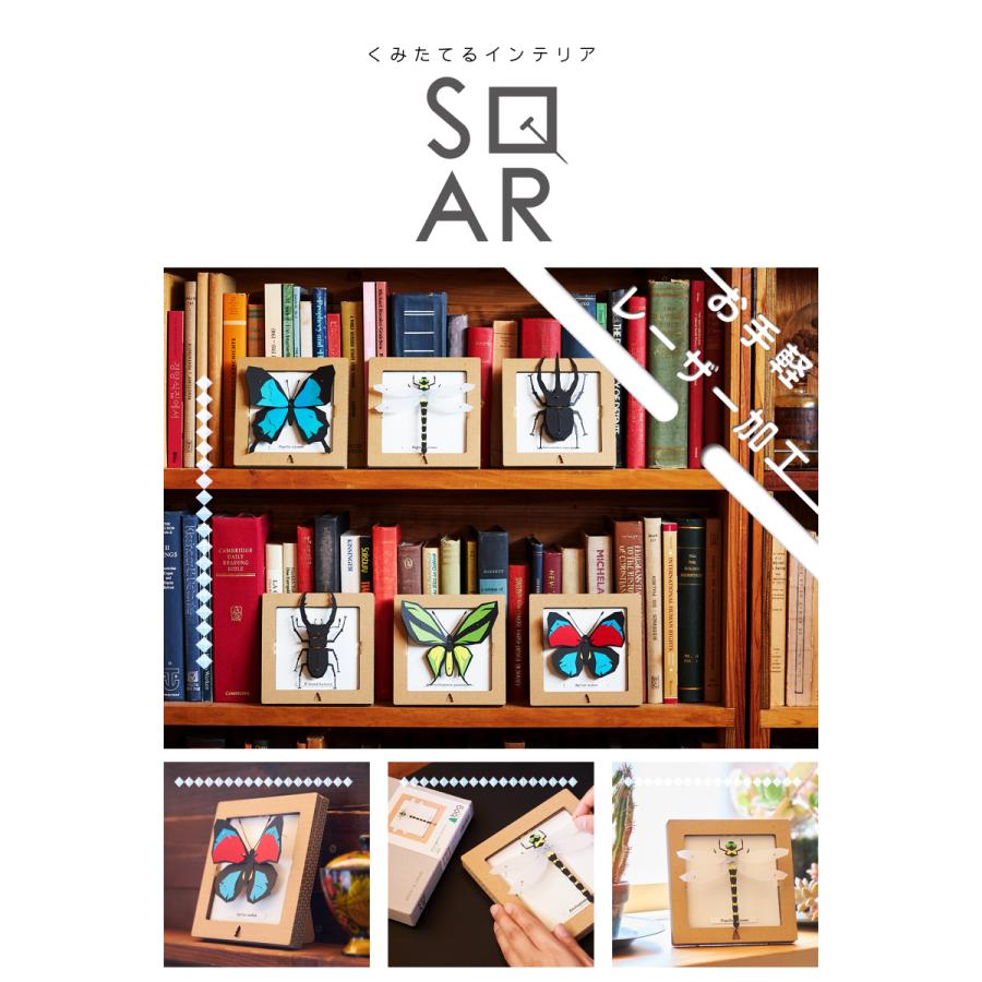 bog craft 組み立てるインテリア 工作 飾り ペーパークラフト SQAR スクウェア 標本 ヘラクレスオオカブト : モビマックス ...