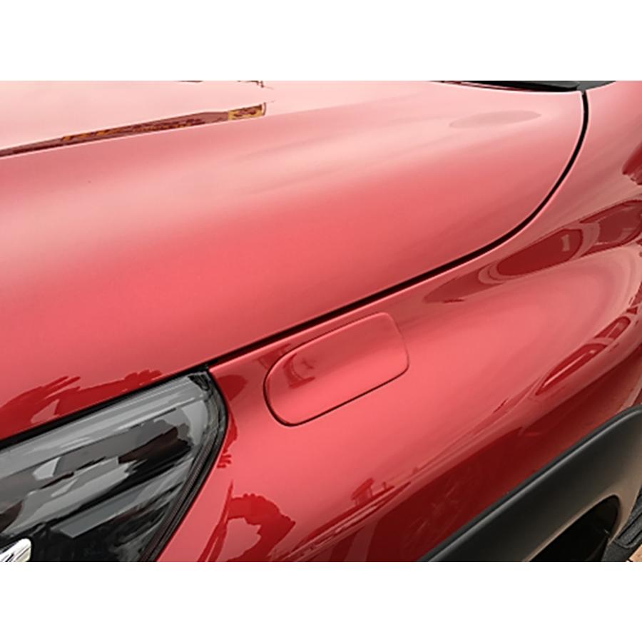 【リミテッドチトセ】RICK'S アシスト ミラーホールカバー ハイラックス GUN125 塗装済 : MB Car-Parts - 通販 - Yahoo!ショッピング