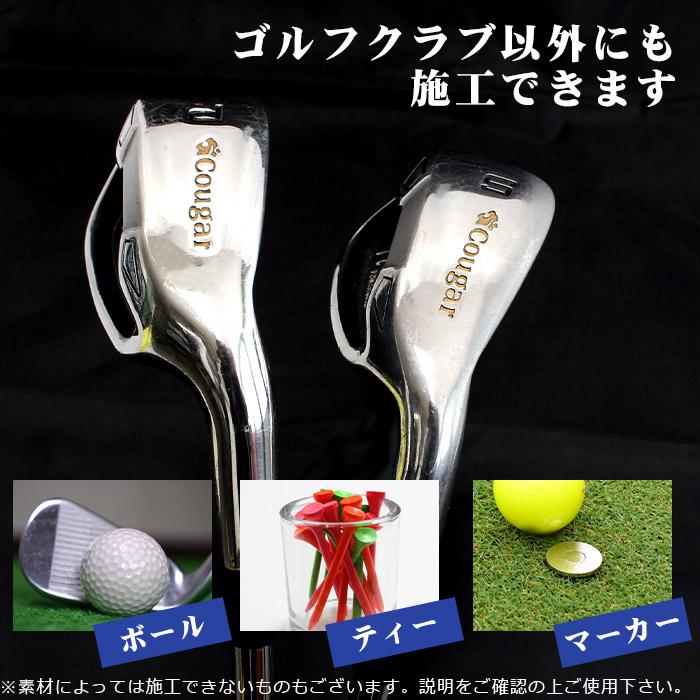 ゴルフ クラブ ゴルフ用品 メンテナンス お手入れ 艶プラス GOLF SHIELD 30ml 2本セット ゴルフクラブ クリーナー 親水 防汚 艶 シャフト ゴルフコンペ : mocola ...