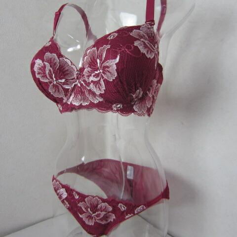 ブラショーツセット ブラジャー ショーツ セット E70 E75 E80 E85 F70 F75 F80 F85 大きいサイズ ブラショーツ 上下セット : モデルルック - 通販 ...