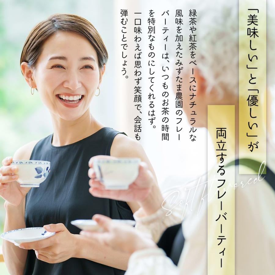 みずたま農園製茶場 選べる フレーバーティー 水出し 紅茶 緑茶 糸付き ティーバッグ 2.5g×8個 国産 花茶 ポイント消化 : みずたま農園・もぐはぐ農園 - 通販 - Yahoo!ショッピング