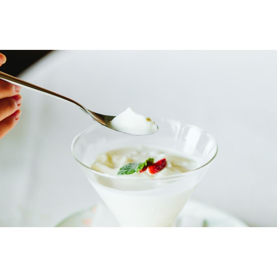 猫舌堂 iisazy spoon（イイサジースプーン） : moikka! - 通販 - Yahoo!ショッピング