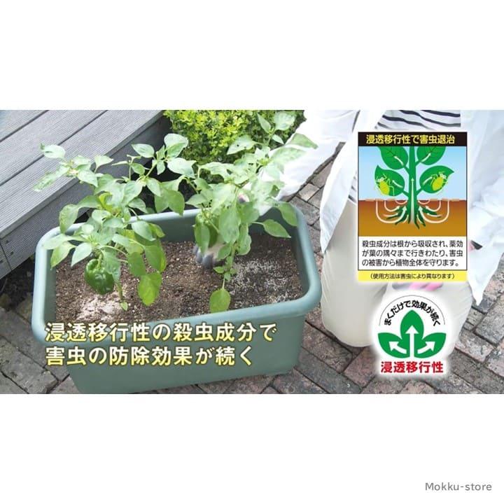 住友化学園芸 ベニカXガード 粒剤 550g 2袋 殺虫剤 殺菌剤 害虫駆除 病気 予防 バラ 多肉 野菜 観葉植物 アブラムシ コガネムシ うどんこ病 灰色かび病 など : モックストア ...