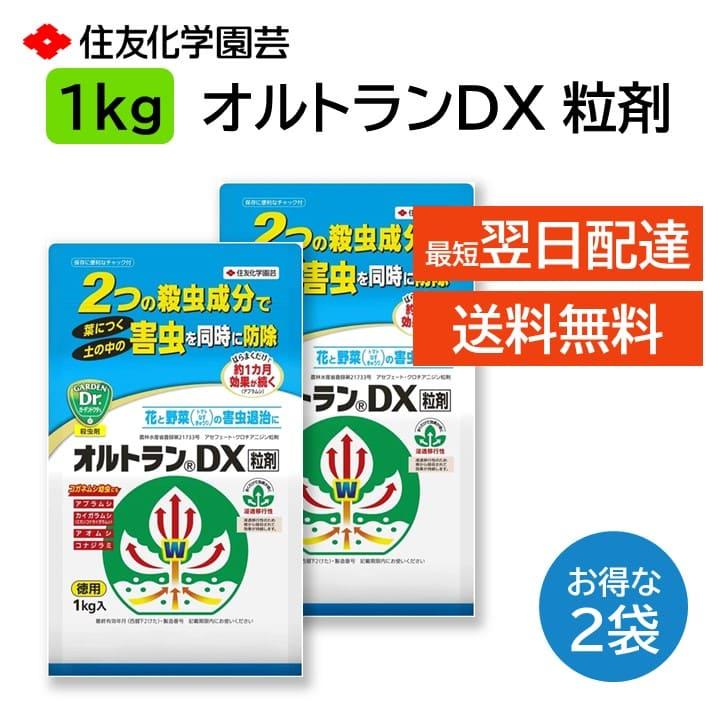 オルトランDX 粒剤 1kg 2袋 殺虫剤 住友化学園芸 観葉植物 バラ 多肉 野菜 トマト なす きゅうり 草花 鉢植え ガーデニング アブラムシ 青虫 コガネムシ など : モックストア ...