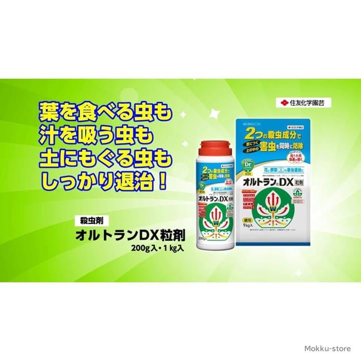 オルトランDX 粒剤 1kg 2袋 殺虫剤 住友化学園芸 観葉植物 バラ 多肉 野菜 トマト なす きゅうり 草花 鉢植え ガーデニング アブラムシ 青虫 コガネムシ など : モックストア ...