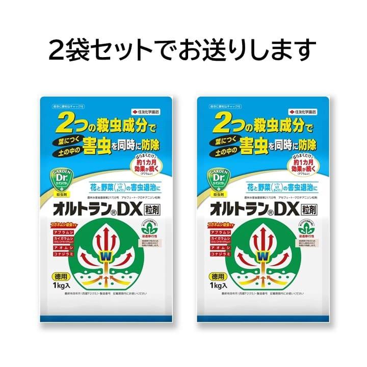 オルトランDX 粒剤 1kg 2袋 殺虫剤 住友化学園芸 観葉植物 バラ 多肉 野菜 トマト なす きゅうり 草花 鉢植え ガーデニング アブラムシ 青虫 コガネムシ など : モックストア ...