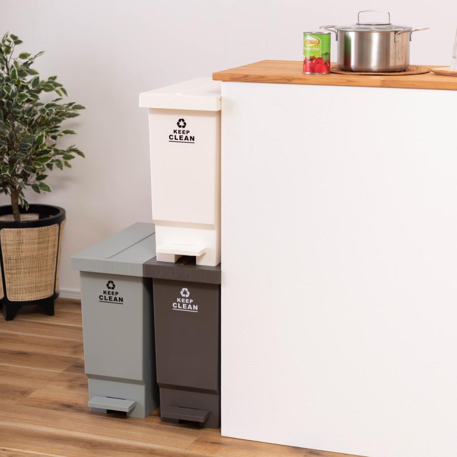 【配送無料】バタフライペダルペール 32L W228 D480 H485 ダストボックス ゴミ箱 収納家具 フットペダル式 袋止め シンプル スリム ホワイト グリーン ブラウン : 大川家具 ...