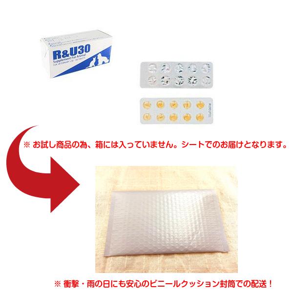 R&U30 10粒×9シート(90粒) 共立製薬 送料無料（ポスト投函便） :kyoritsu27-90s:ももたろうのしっぽ - 通販 - Yahoo!ショッピング