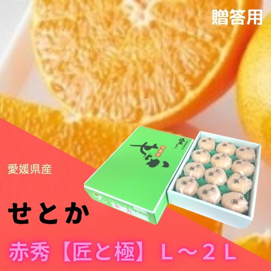 みかん せとか 【匠と極】【赤秀】約3kg (L~2L・12個~15個) JAえひめ (化粧箱入り・糖度12度以上) 発送は3月上旬から。 : o040 : ふるさと物産品 有限会社もも屋 ...