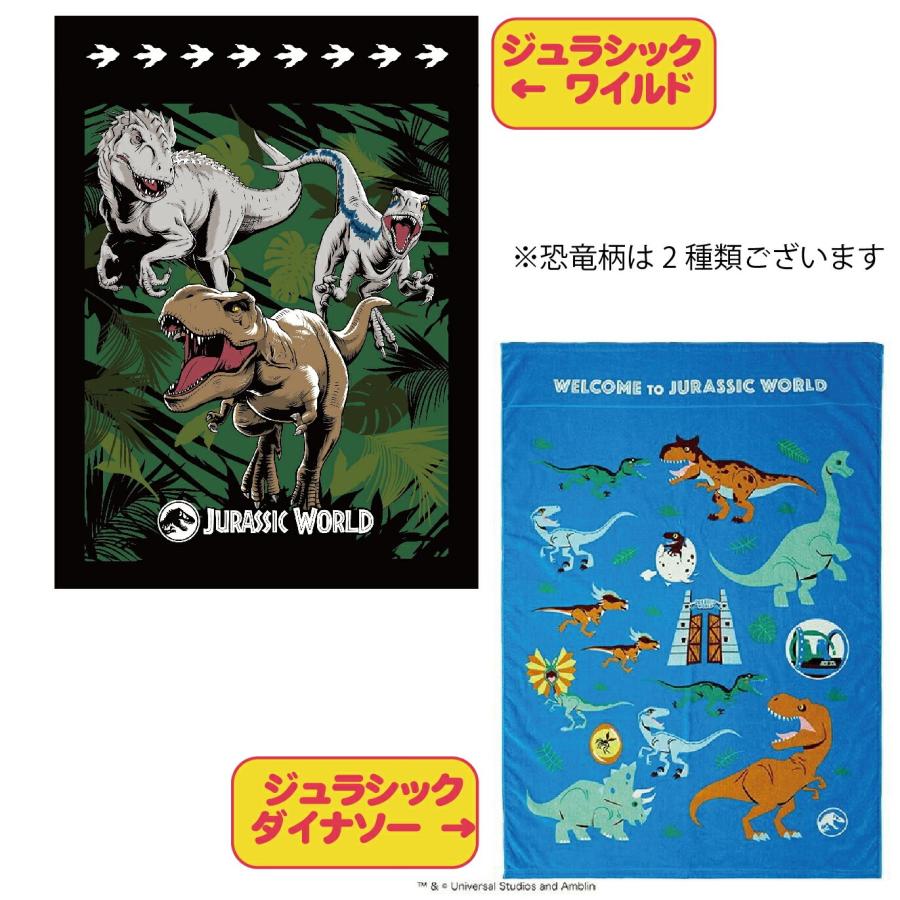 キャラクター タオルケット 約85 115cm ディズニー 子供 キッズ ベビー お昼寝 ケット 保育園 幼稚園 送料無料 入園 入学 新学期 : モナムール - 通販 - Yahoo!ショッピング