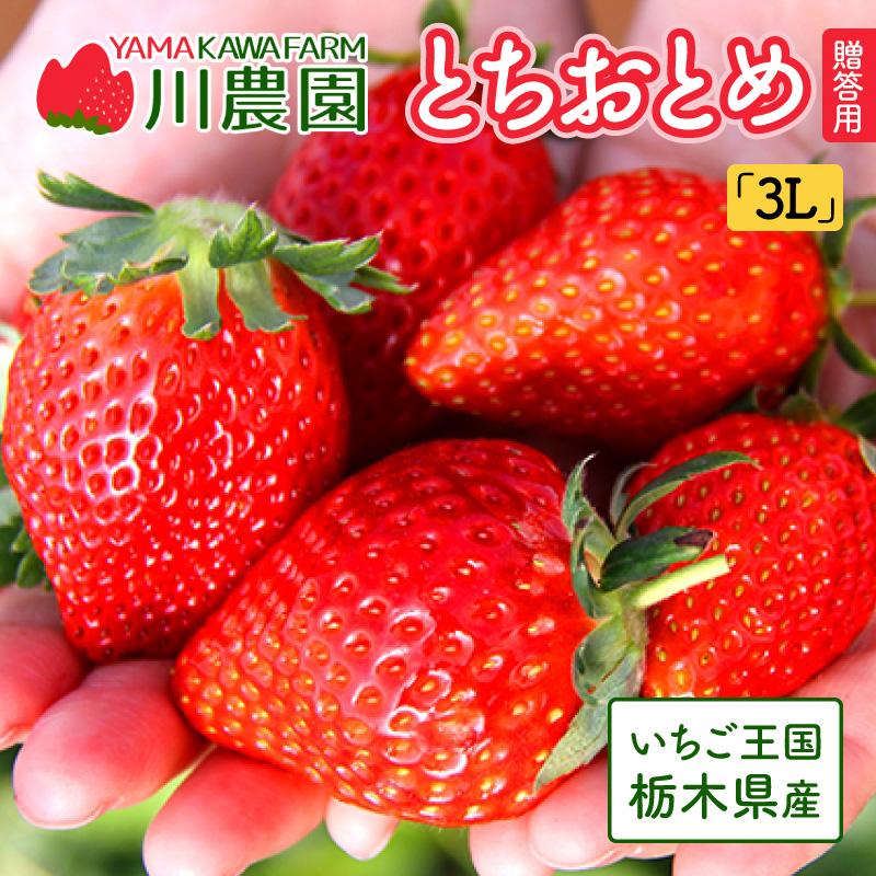 とちおとめ 3L 贈答用 (320g×2パック) ／栃木県産 山川農園 いちご 苺 イチゴ 送料無料 農家 直送 【WS】1273-70007202-3l-1 : もんみや通販 - 通販 ...