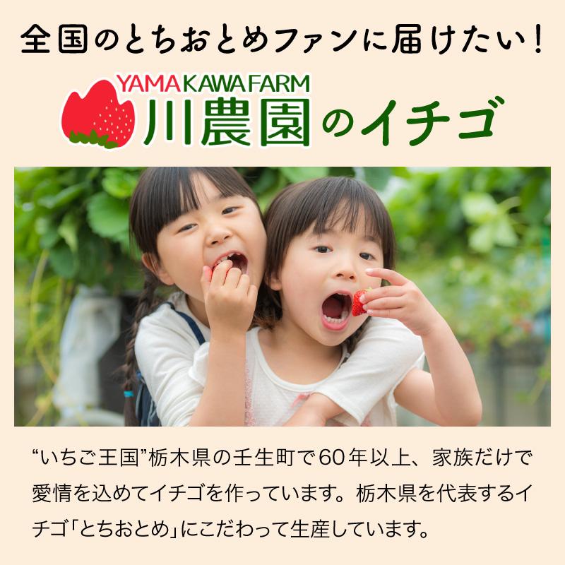 とちおとめ 3L 贈答用 (320g×2パック) ／栃木県産 山川農園 いちご 苺 イチゴ 送料無料 農家 直送 【WS】1273-70007202-3l-1 : もんみや通販 - 通販 ...