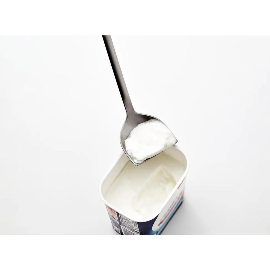 EAトCO 【日本製】Saji ロングスプーン ヨーグルトメーカー【全長25.5cm／食洗機対応／ステンレス／ヨーグルトスプーン】 : 自然派食品専門店モノエル - 通販 - Yahoo!ショッピング