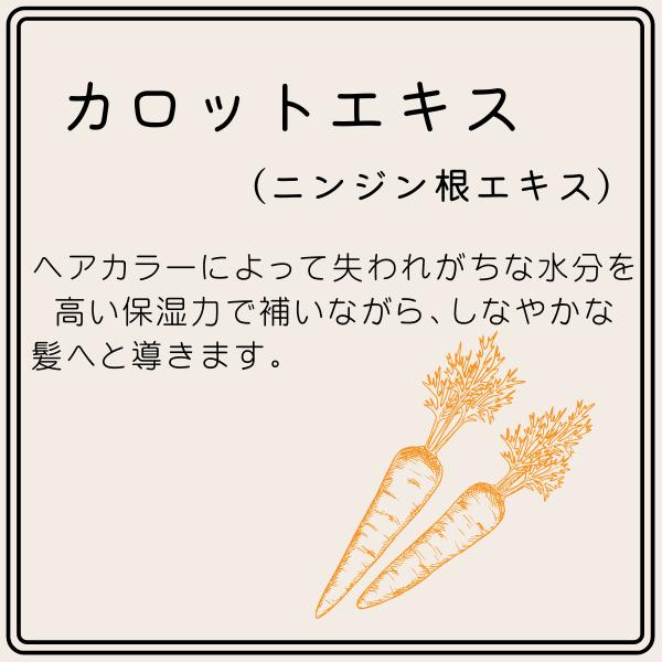 洗い流さない トリートメント ピュアファクター ウォータートリートメント ナチュラル 145g 3本セット : mia0-pfwtnt-set3 : モノポール - 通販 - Yahoo!ショッピング