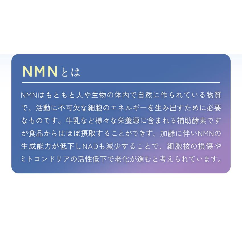 NMN サプリ 国内製造 30日分 60粒入り 1日あたり400mg NATURAL NMNサプリメント 健123 美容 日本製 ニコチンアミドモノヌクレオチド 高純度 国内GMP認定工場 ...