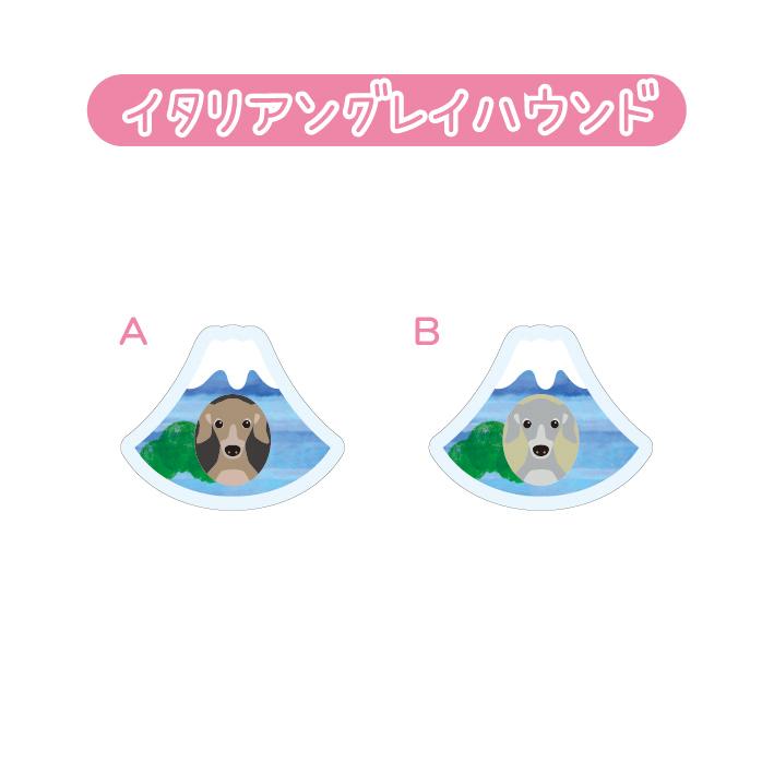 マグネット アクリル イタリアングレイハウンド 静岡 三保 かわいい 磁石 雑貨 犬 ホワイトボード 冷蔵庫 : Mony - 通販 - Yahoo!ショッピング