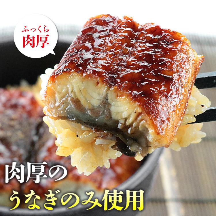 食の達人 うなぎ 蒲焼き 鰻 人気 2種セット 計800g (巨大うなぎ400g カットうなぎ80g×5パック） 爆買 : 食の達人森源商店 - 通販 - Yahoo!ショッピング