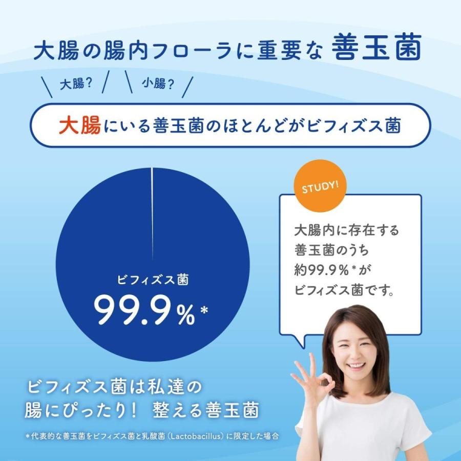 森永直販 ビフィズス菌 乳酸菌 メーカーシェアNo.1 森永 生きて届く ビフィズス菌 BB536 3袋 (約90日分) 機能性表示 ビヒダス ヨーグルト ブランド :ppbb00dr0003 ...