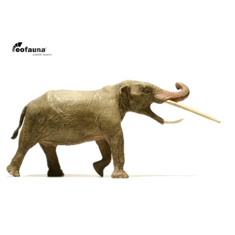 古代生物 恐竜 フィギュア Eofauna エオファウナ コノベロドン EO008 1:35 ｜古生物フィギュア 古代ゾウ マンモス 考古学 PVC : おもちゃの店-森のこびと - 通販 ...