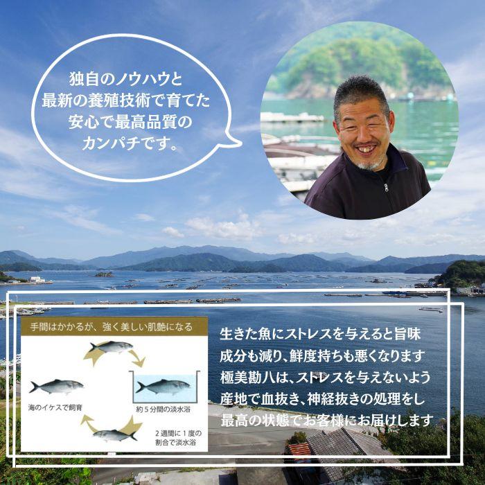 【送料無料】 カンパチ 切り身 2節セット 約1700g カンパチ刺身 満天青空レストラン 漬け丼 お歳暮 お中元 : 海鮮浜焼き風雅 - 通販 - Yahoo!ショッピング