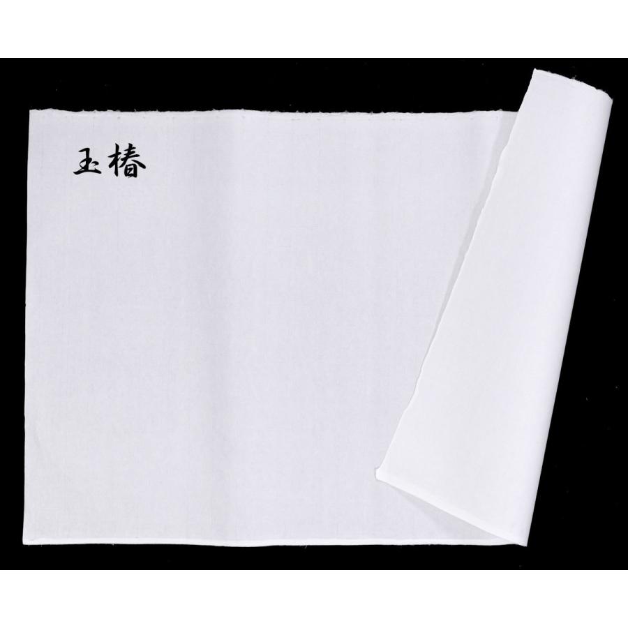 玉椿 No.835 62 x 97cm 愛媛伊予 手漉和紙（耳付）優しい生成り色 : 森田和紙オンラインショップ - 通販 - Yahoo!ショッピング