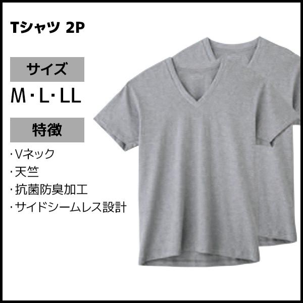 BODYWILD ボディワイルド VネックTシャツ 半袖V首 2枚組 グンゼ GUNZE : bw5015a : モテ下着Yahoo!支店 - 通販 - Yahoo!ショッピング