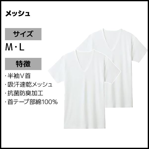 GUNZE 涼感平台 メッシュ 半袖V首 インナー Tシャツ 2枚組 グンゼ : モテ下着Yahoo!支店 - 通販 - Yahoo!ショッピング