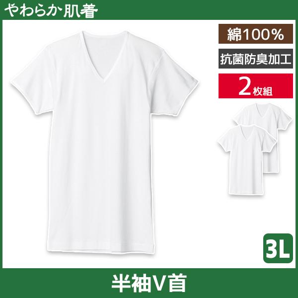GUNZE やわらか肌着 半袖V首シャツ 2枚組 3Lサイズ Vネック Tシャツ グンゼ : モテ下着Yahoo!支店 - 通販 - Yahoo!ショッピング