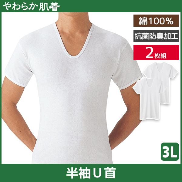 GUNZE やわらか肌着 半袖U首シャツ 2枚組 3Lサイズ Uネック Tシャツ グンゼ : モテ下着Yahoo!支店 - 通販 - Yahoo!ショッピング