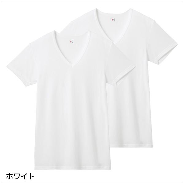 YG ワイジー VネックTシャツ 2枚組 TC鹿の子 紳士 グンゼ GUNZE : モテ下着Yahoo!支店 - 通販 - Yahoo!ショッピング