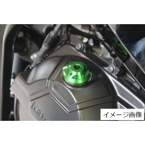 SPEEDRA KAWASAKI 各車種 オイルフィラーキャップ M30×P1.5 スピードラ AOC0102RD : MOTO-OCC ヤフーショッピング店 - 通販 - Yahoo!ショッピング