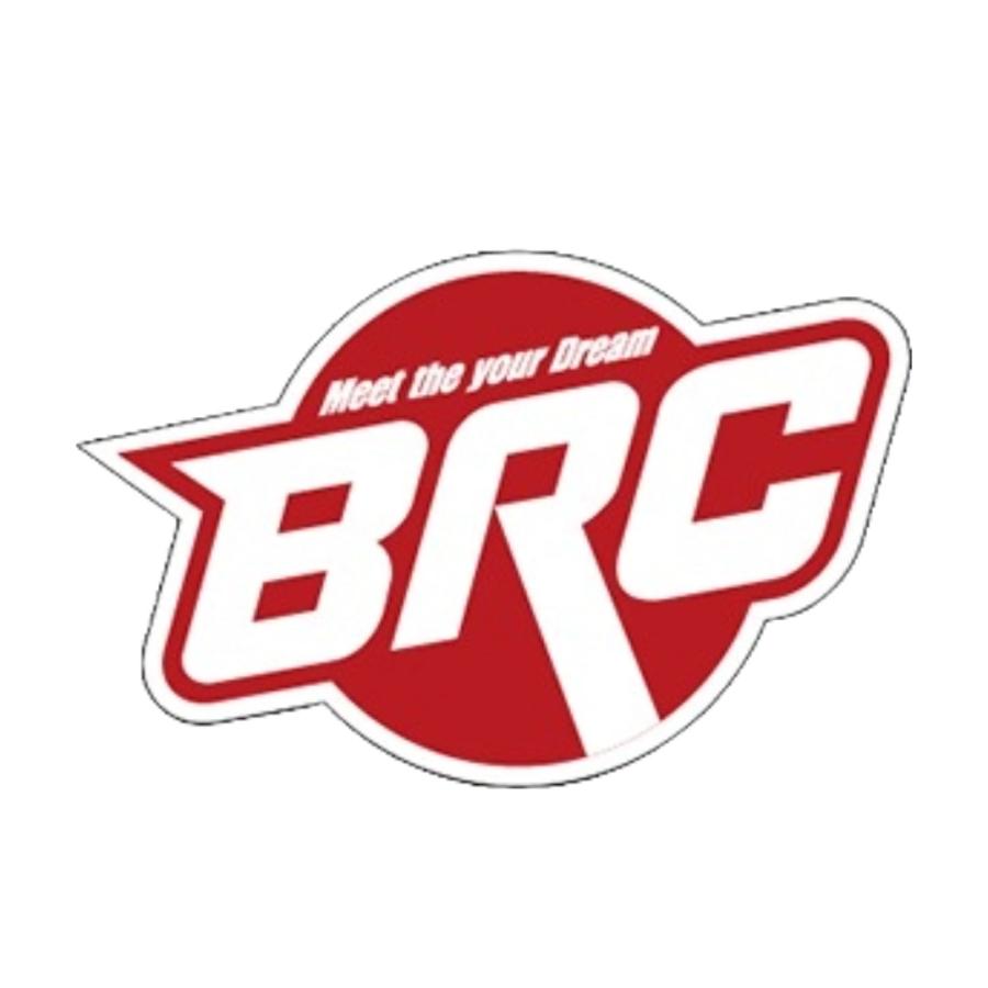 BRC ビーアールシー ステンレス・キャリパーピストンホーク ホーク : motofellow - 通販 - Yahoo!ショッピング