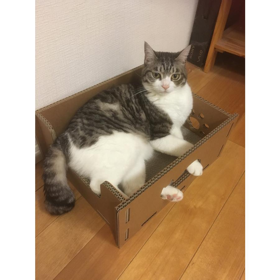 【NecoDan ガリガリBox】猫用 爪とぎ またたび付き 猫グッズ ぺット 遊具 ベッド ダンボール 段ボール 強化段ボール キャット 爪研ぎ ボックス 持ち運び 軽い : 本橋商店 ...