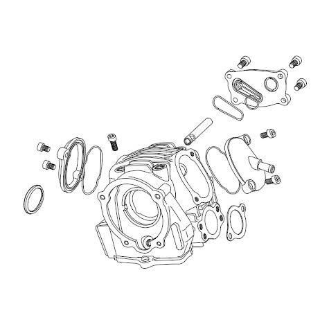 スーパーヘッド+R Kit (ツインスパーク/バレル) モンキー50/ゴリラ/CRF50F_SP武川 : i-takegawa-01-03-8206 : モトシップ・エイチディー - 通販 ...