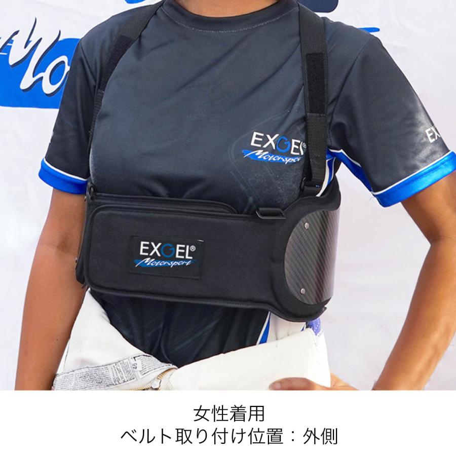 EXGEL ドライカーボンベスト17ライト カート用カーボンリブプロテクター :AKK24M-BK:Motostars - 通販 - Yahoo!ショッピング