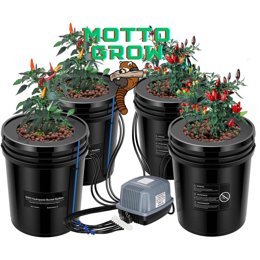 MOTTOGROW DWC 5ガロン4バケツ再循環ドリップ水耕栽培システム : MOTTOGROW植物栽培機材道具倉庫 - 通販 ...