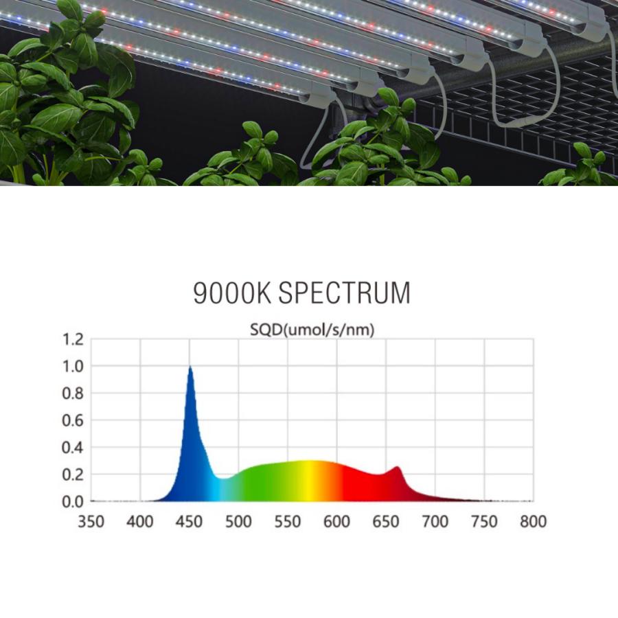 MOTTOGROW 9000k 18w LED clone barクローンバー ツインパック36w（長さ112cm） : mg4742 ...