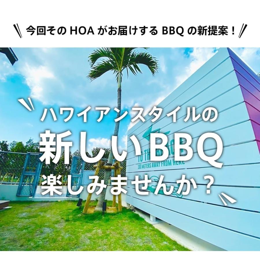 焼肉 HIBACHI ポークスペアリブ（豚肉）×3セット（約320g×3 合計960g） 2021 のし 高級 お取り寄せグルメ テレビ 焼肉セット 食品ロス コロナ :hoa-pork3 ...