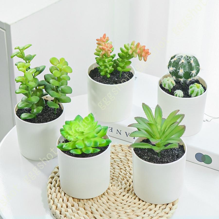 人工多肉植物 フェイクグリーン ミニ 人工観葉植物 寄せ植え リビング ダイニング 玄関 キッチン トイレ インテリア 雑貨 ナチュラル 造花 サボテン : MRCS - 通販 - Yahoo ...
