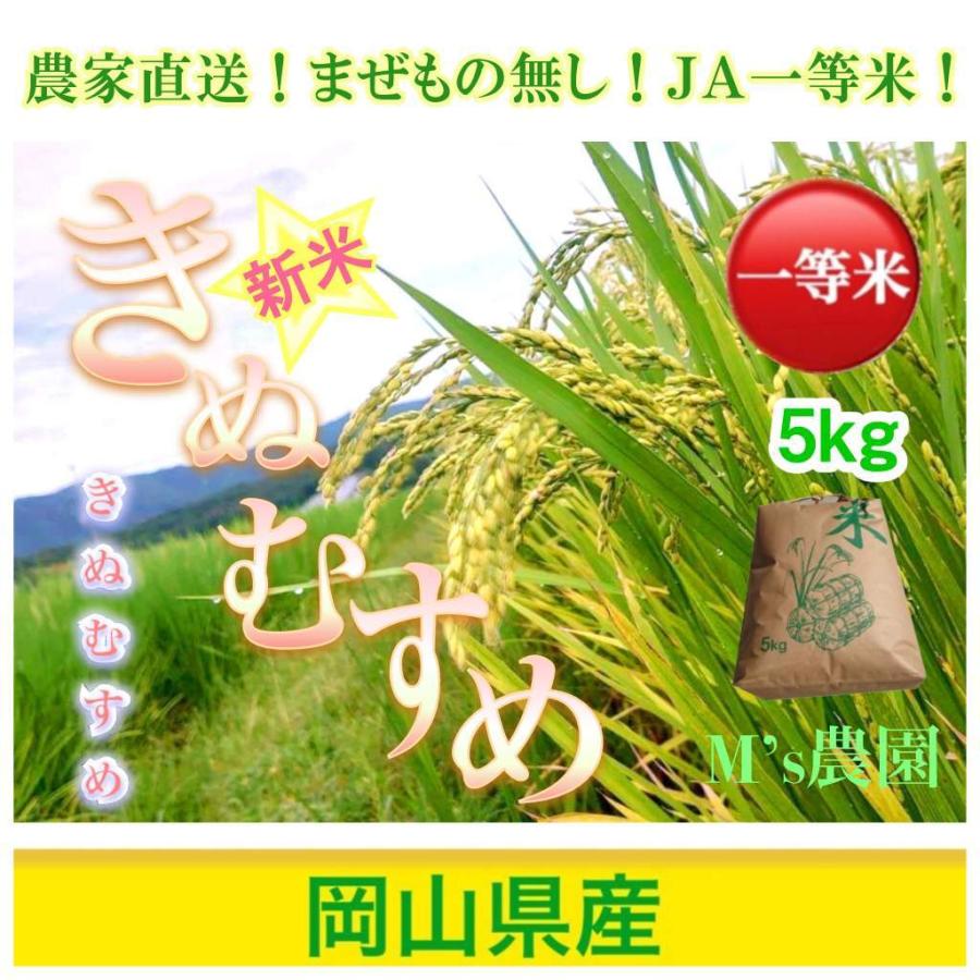 きぬむすめ 5kg 令和7年度 農家直送 岡山県産 玄米 : Ms Fine Farm - 通販 - Yahoo!ショッピング