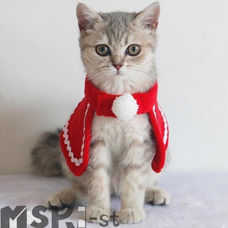 クリスマスケープ コート ペット服 ペットウェア サンタ クリスマス コスプレ 衣装 猫 小型犬 サンタクロース マント ポンチョ : MSK1ストア - 通販 - Yahoo!ショッピング