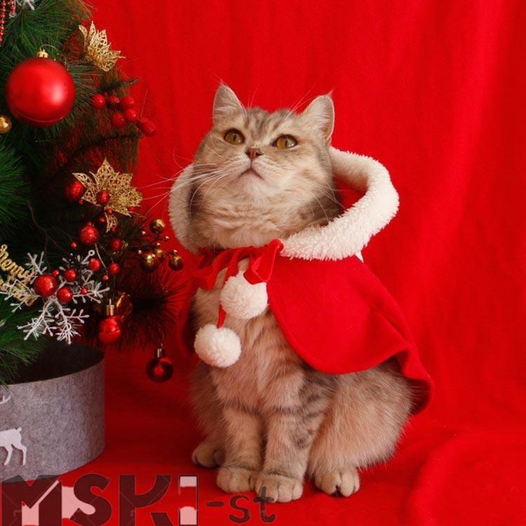 クリスマスケープ コート ペット服 ペットウェア サンタ クリスマス コスプレ 衣装 猫 小型犬 サンタクロース マント ポンチョ : MSK1ストア - 通販 - Yahoo!ショッピング